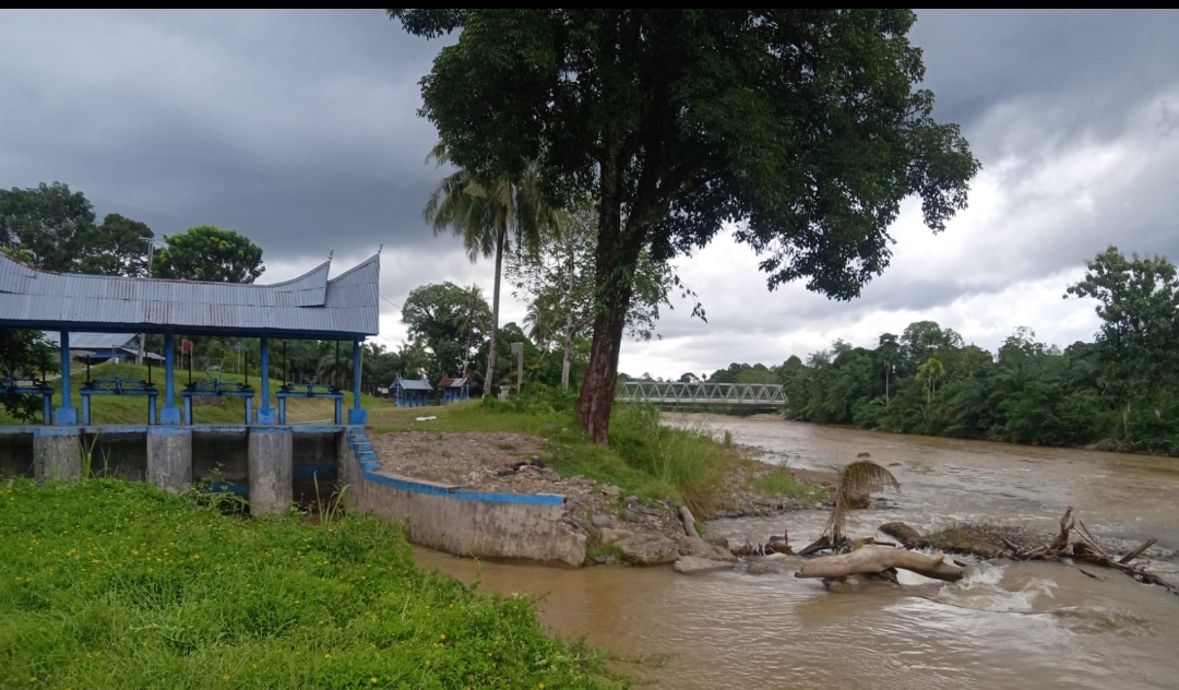 Aliran Sungai Batang Batahan Tercemar, Diduga Akibat Tambang Emas ...